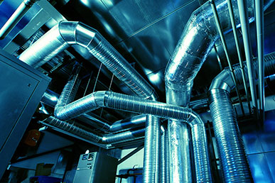 Services | ZNND Group